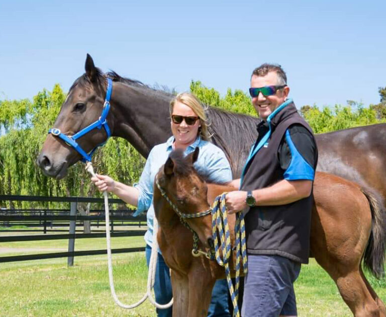 About us – Forest View Farm